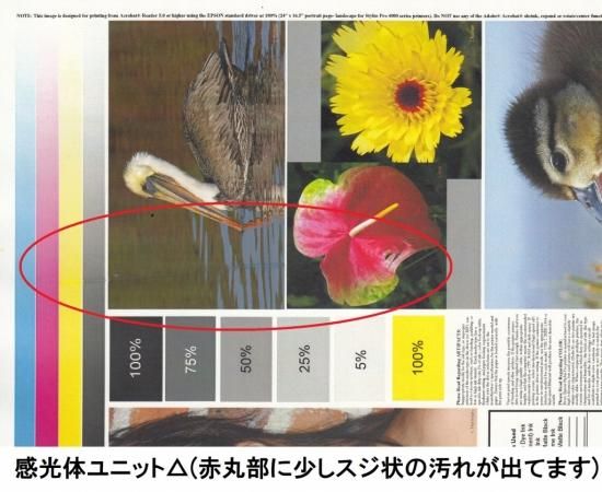 LP-S5300 EPSON A3カラーレーザープリンタ 総印刷約50枚 有線LAN LP-S5300 EPSON A3カラーレーザープリンタ 総印刷約50枚 有線LAN